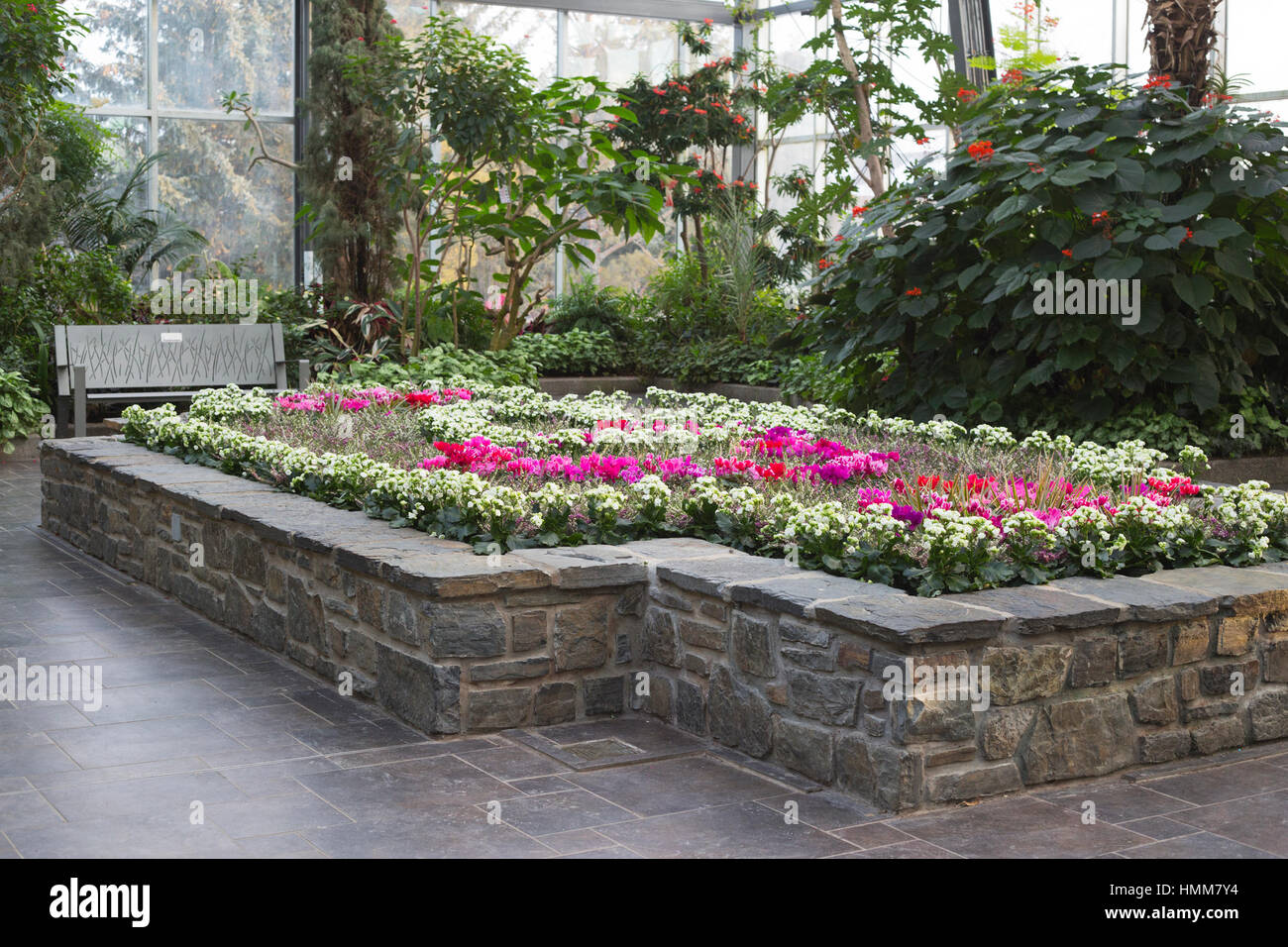 Indoor botanical garden with flowering plants Stock Photo - Alamy