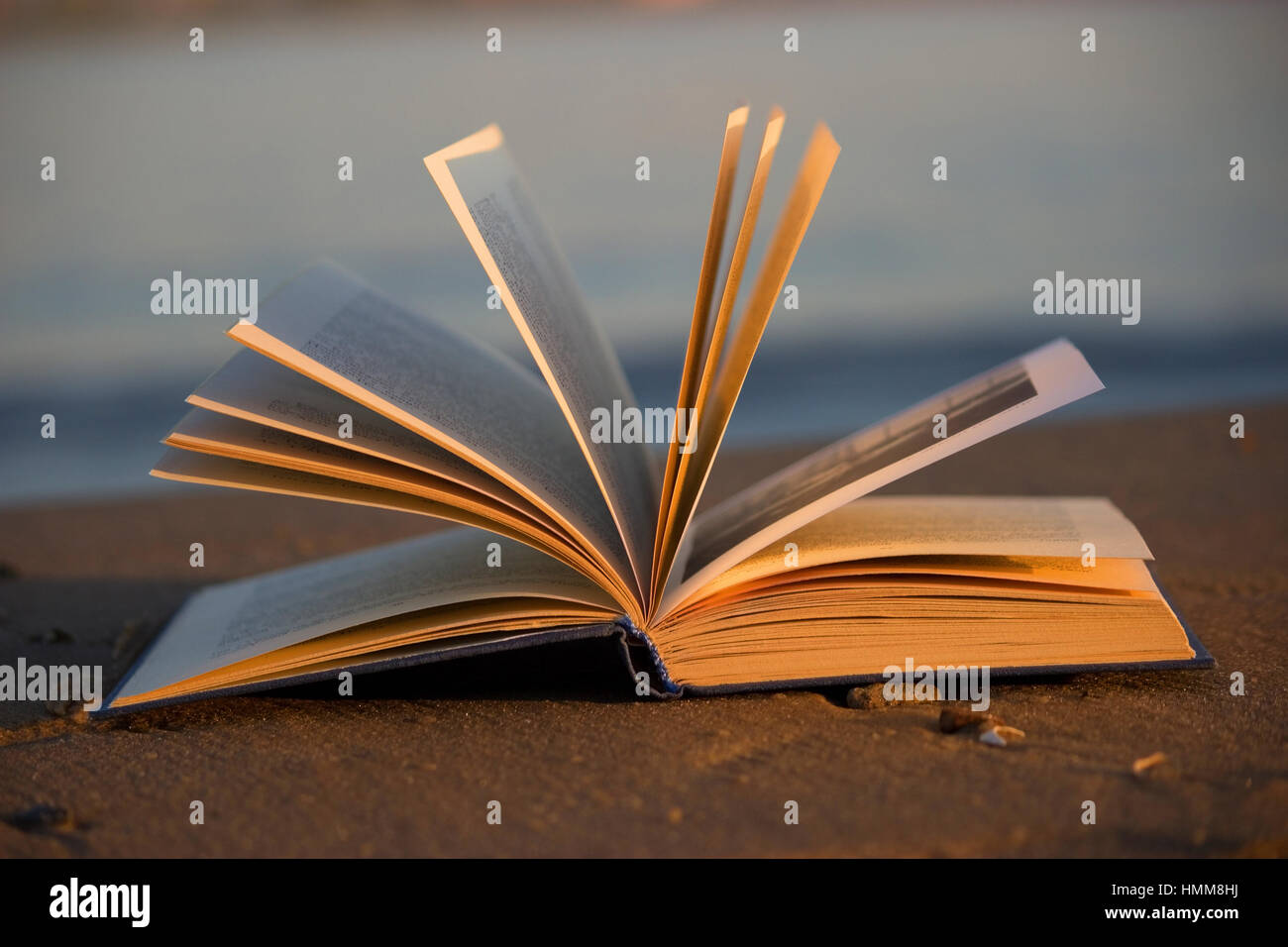 open book on the beach.sunset warm light Stock Photo - Alamy