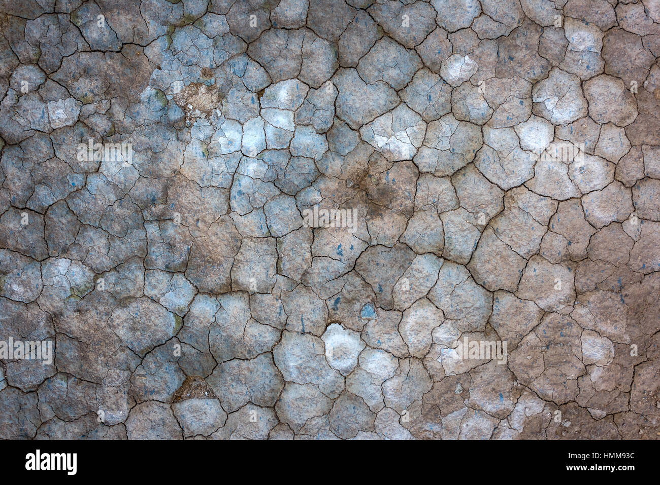 Cracked land texture. Beautiful background for your project Stock Photo ...