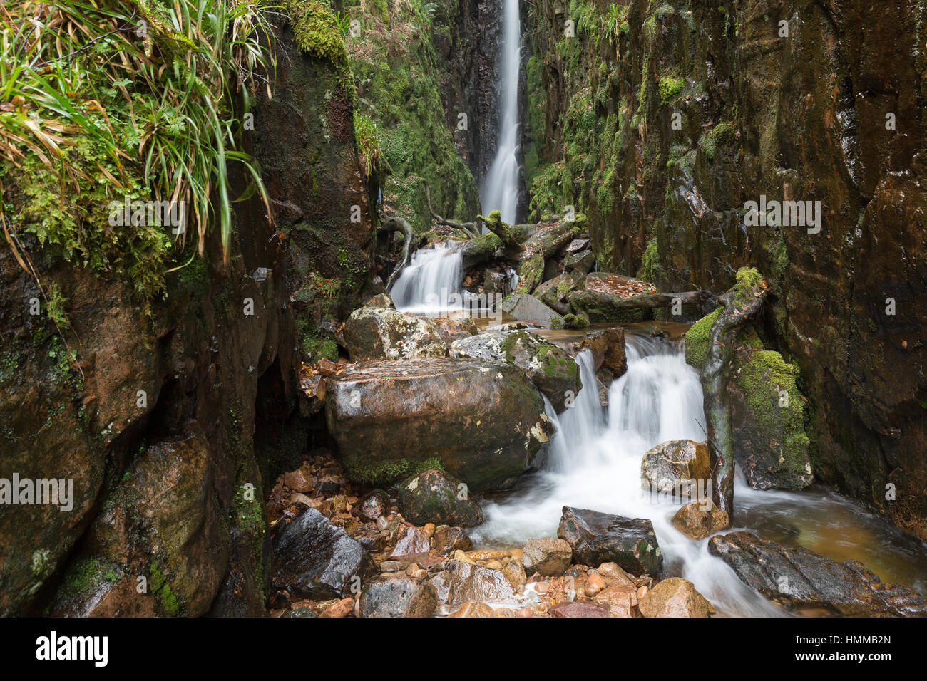 Force scale hi-res stock photography and images - Alamy