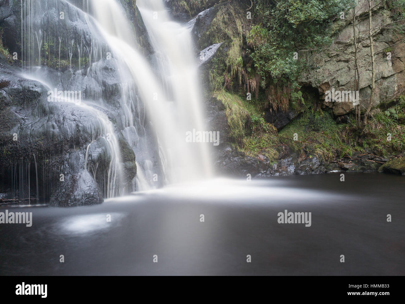 Long gill hi-res stock photography and images - Alamy