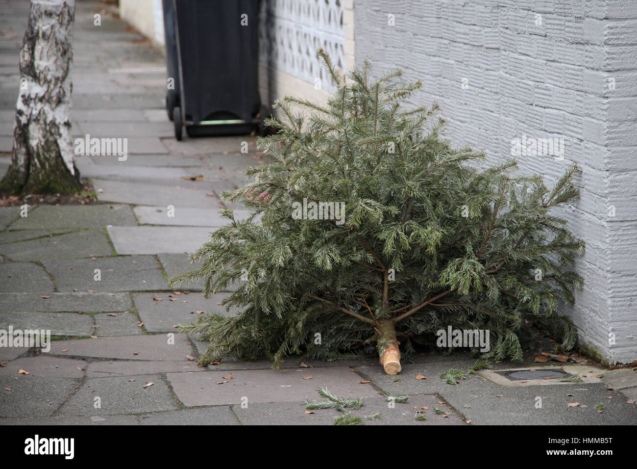 Abandoned christmas trees after hi-res stock photography and images - Alamy