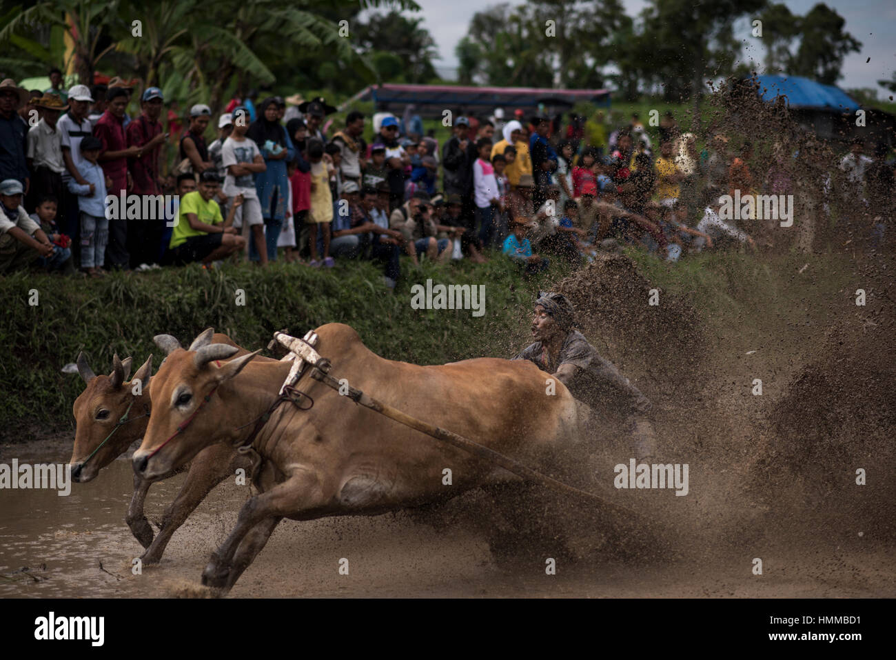 Indonesian traditional competition hi-res stock photography and images ...