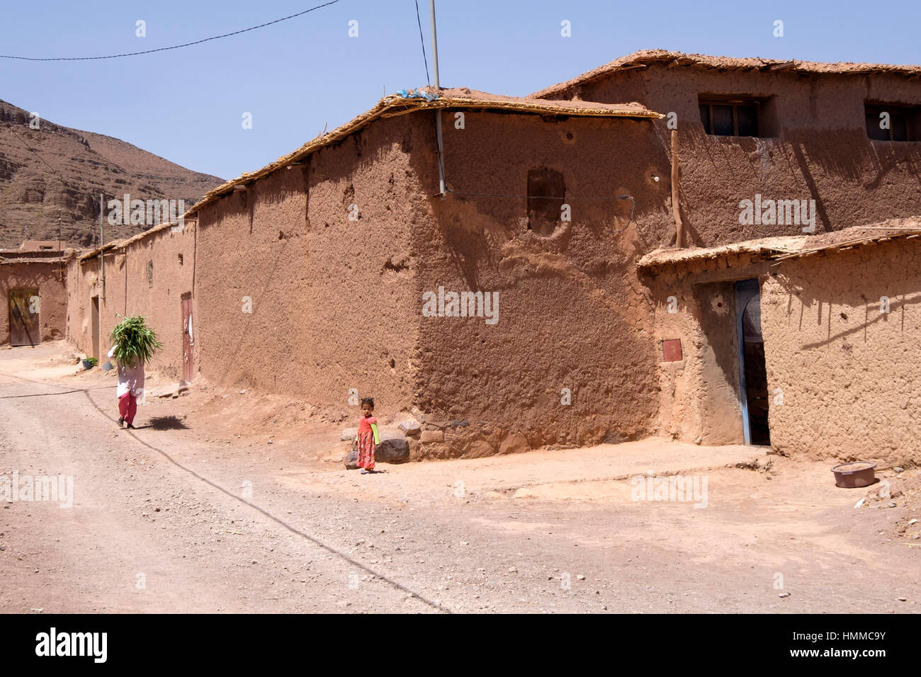 Fint hi-res stock photography and images - Alamy