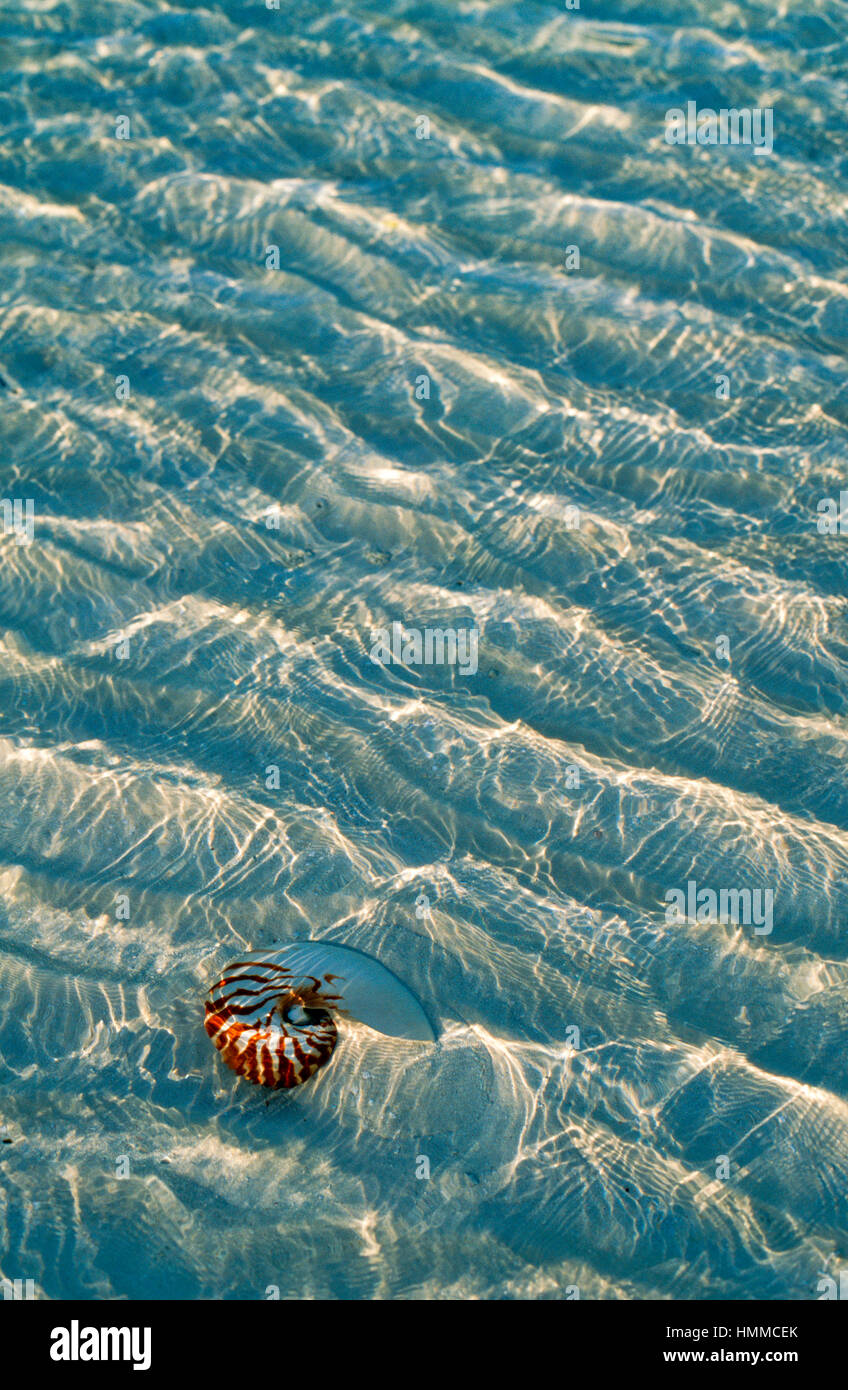 Cocoa island maldives hi-res stock photography and images - Alamy