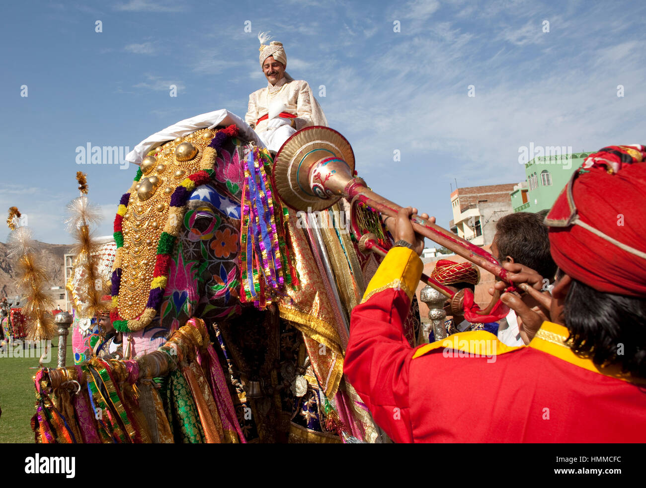 Elephant festival in Jaipur, India Stock Photo - Alamy