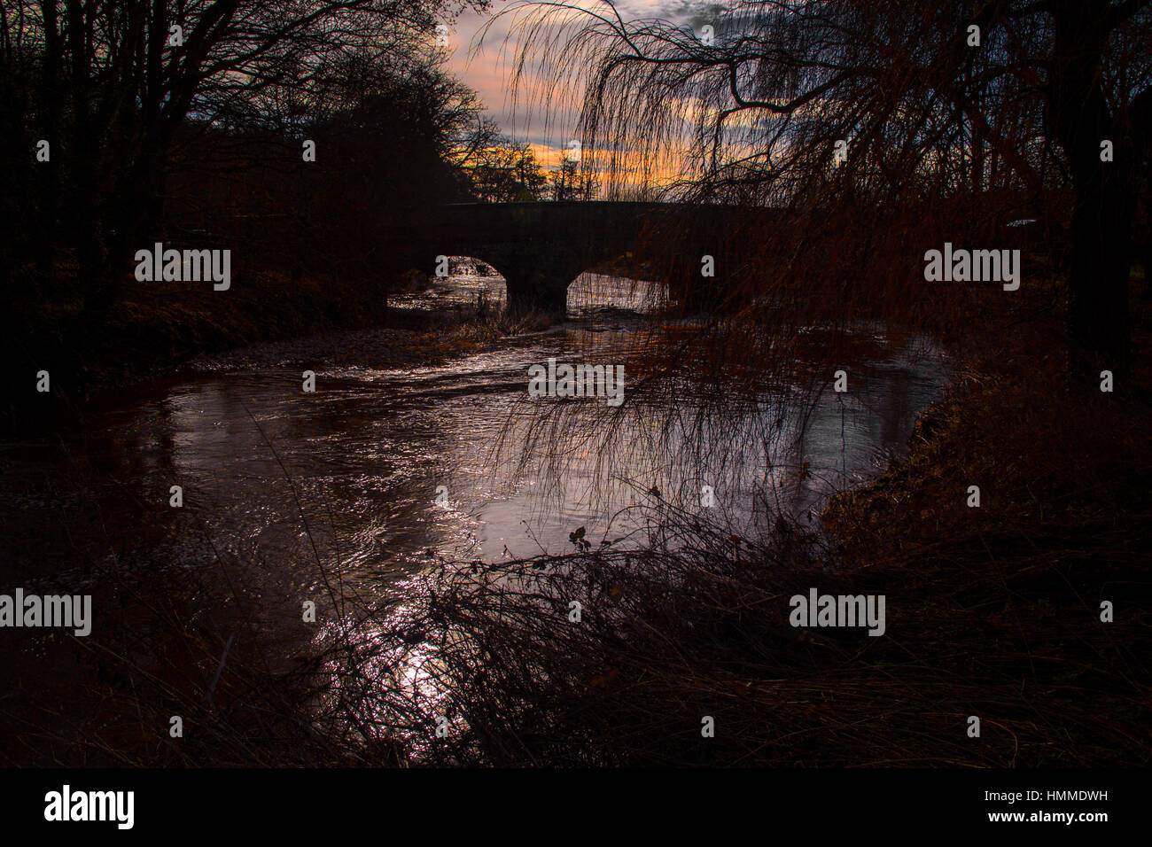 The River Otter, at Otterton Devon, the start of the "Beaver Trail ...