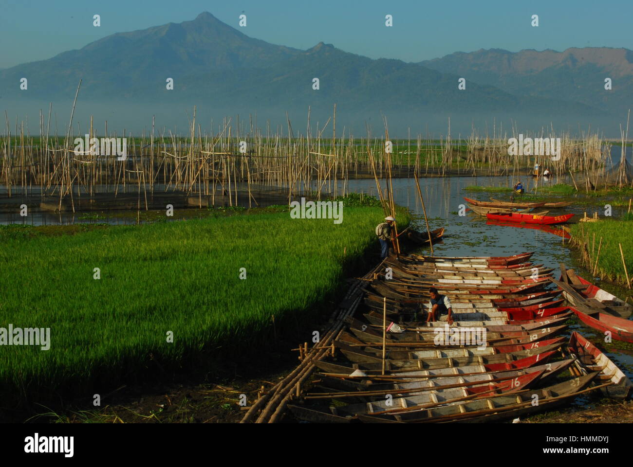 Rice paddy boats hi-res stock photography and images - Alamy