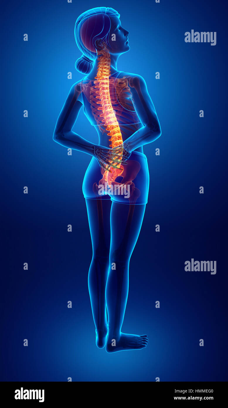 human body anatomy with joint pain Stock Photo - Alamy