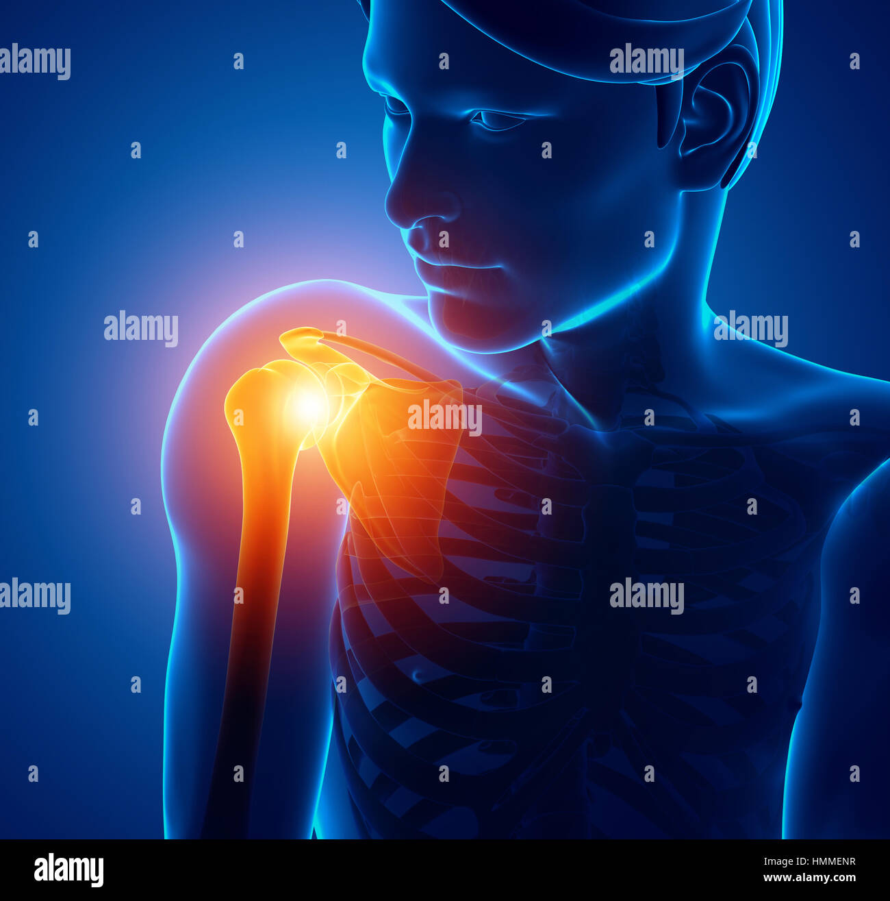 human body anatomy with joint pain Stock Photo - Alamy