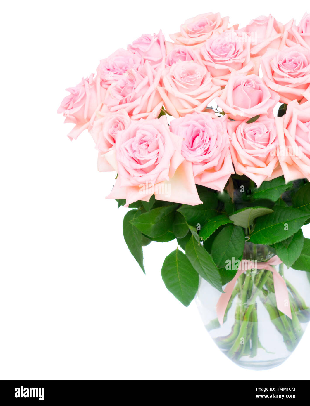 Pink blooming roses Stock Photo - Alamy