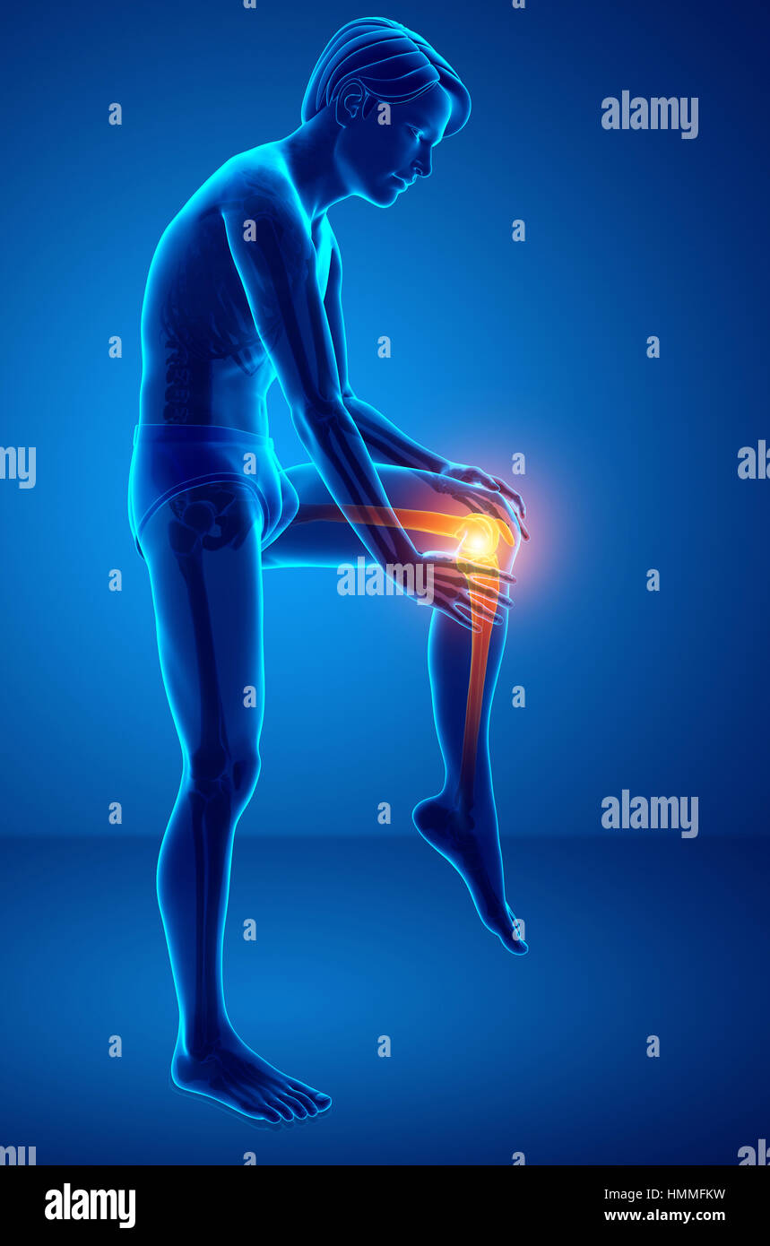 human body anatomy with joint pain Stock Photo - Alamy