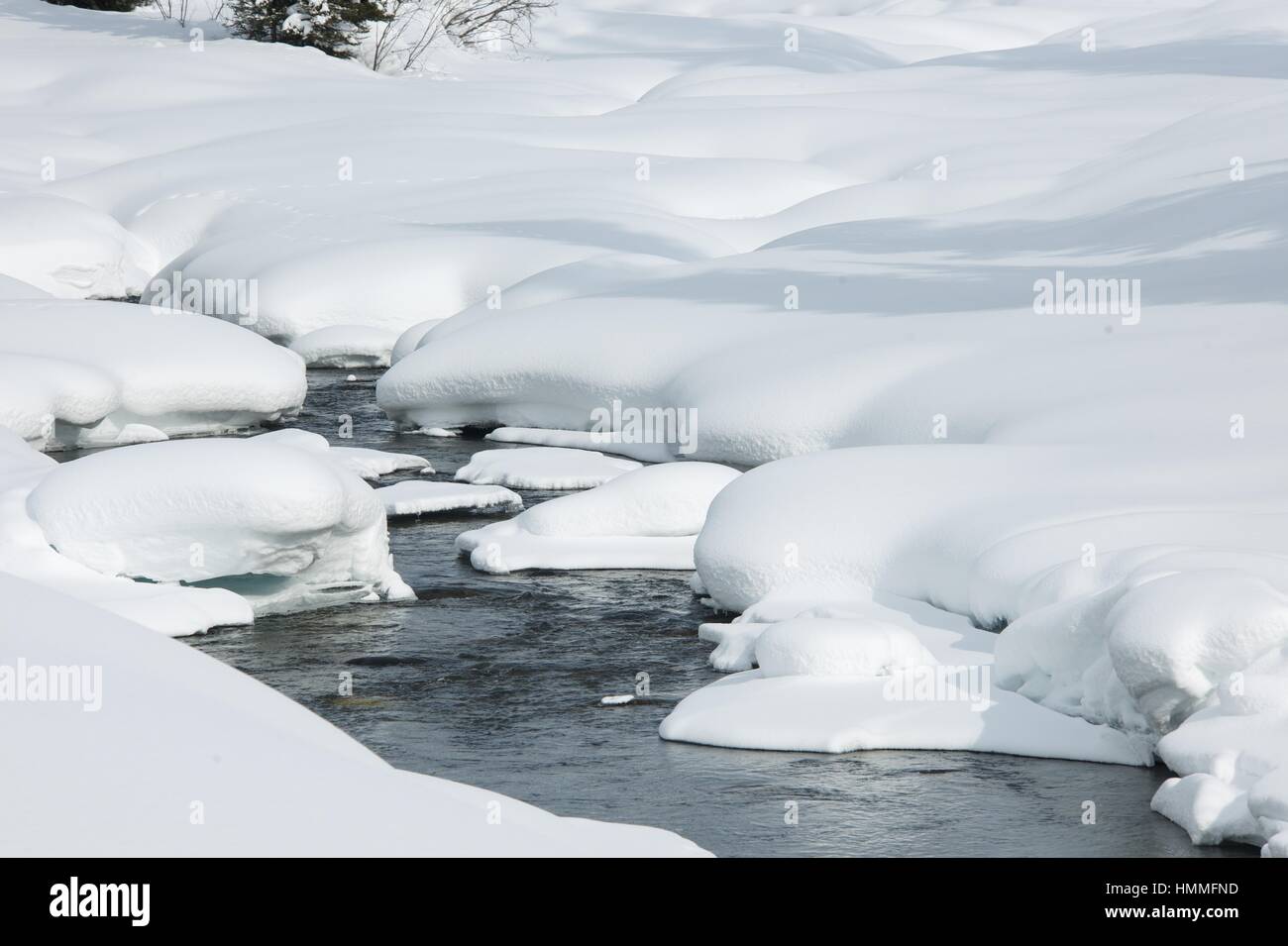 Ice free snow-bound mountain river in winter Stock Photo - Alamy