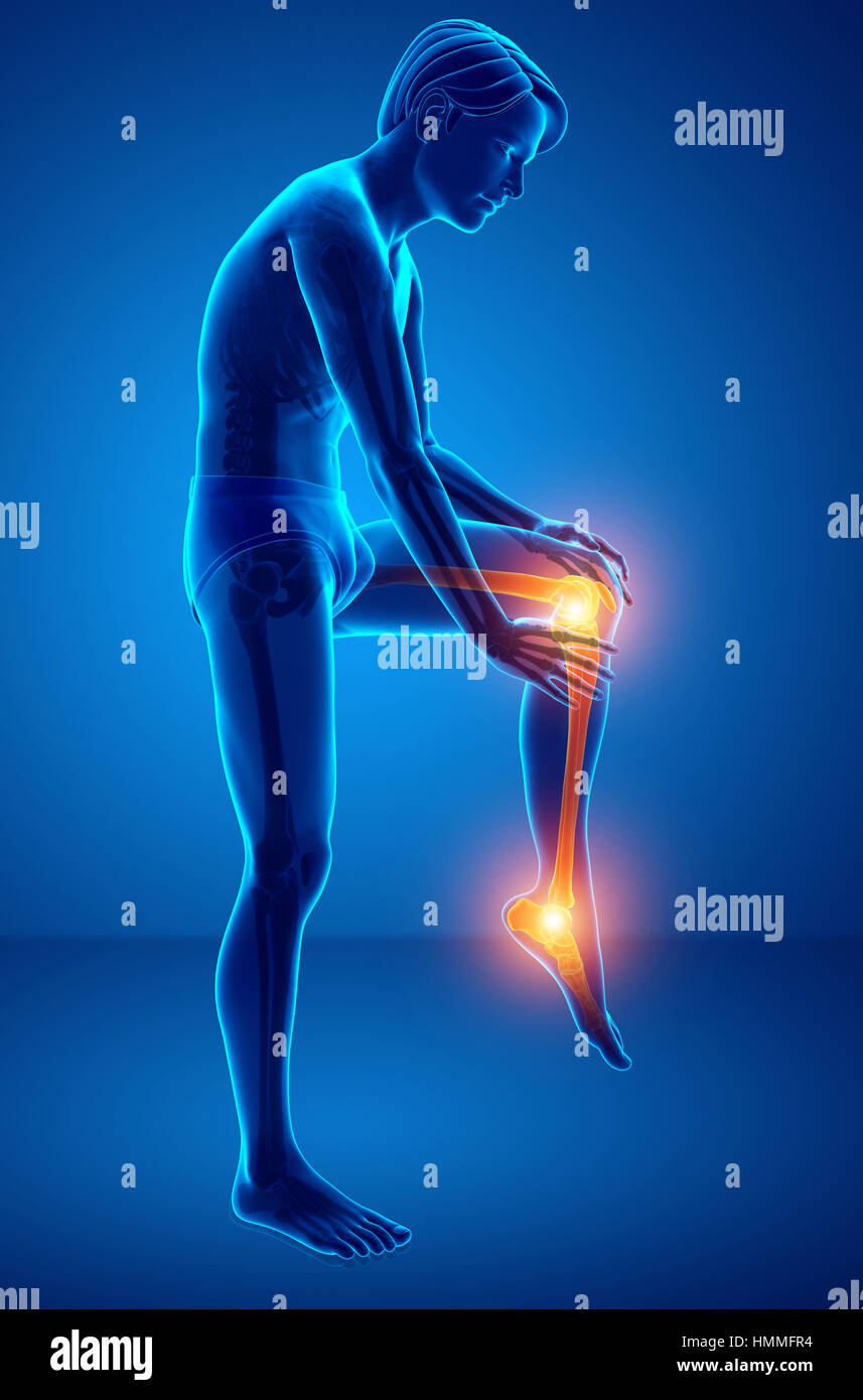 human body anatomy with joint pain Stock Photo - Alamy