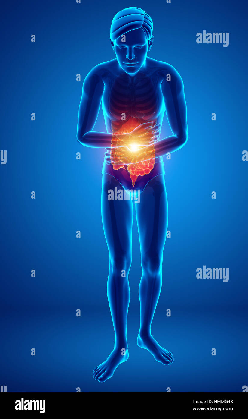 human body anatomy with joint pain Stock Photo - Alamy