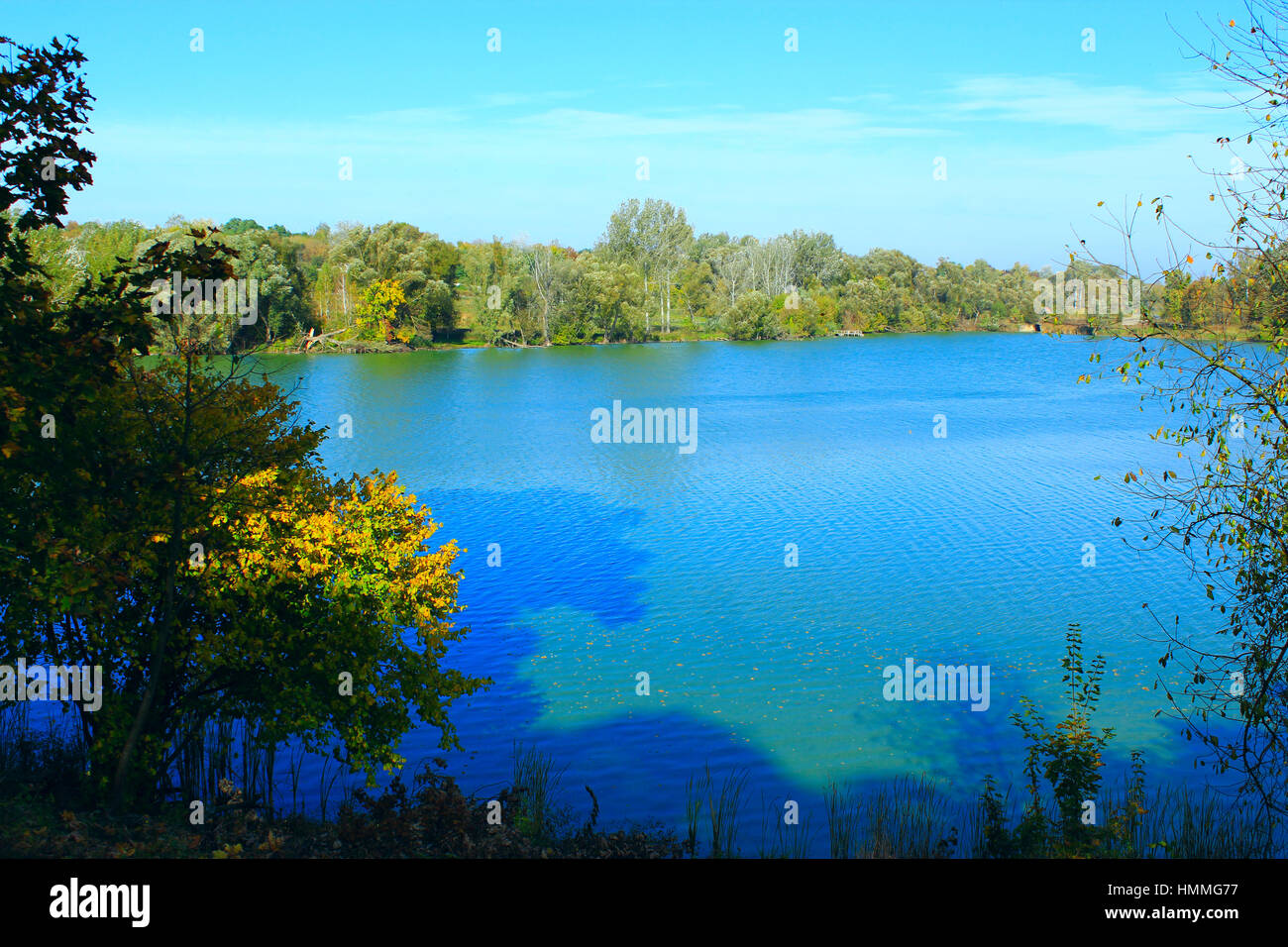 beautiful summer landscape with lake with blue water in the forest ...