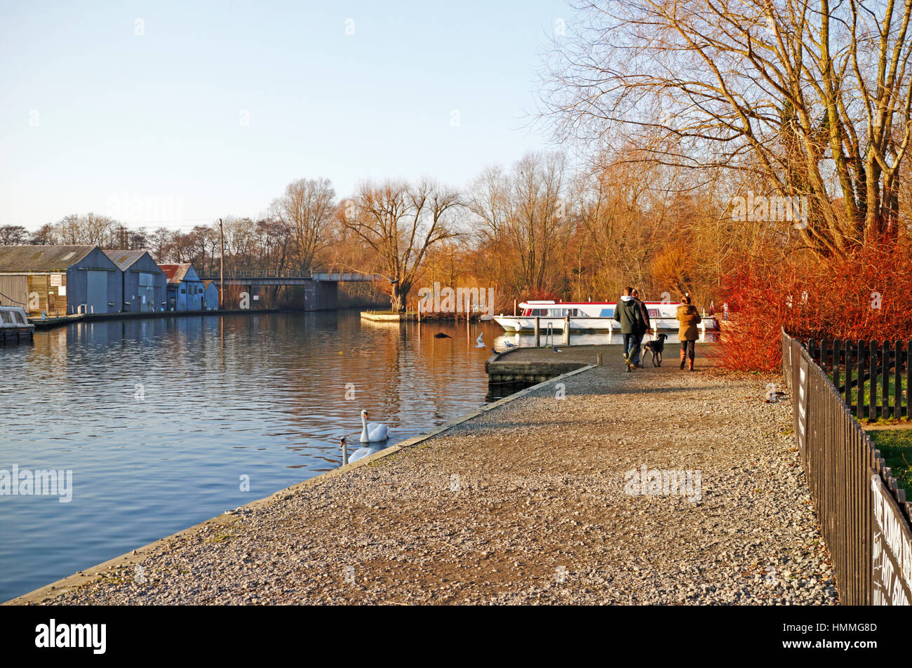 A riverside footpath by the River Bure on the Norfolk Broads at Hoveton ...