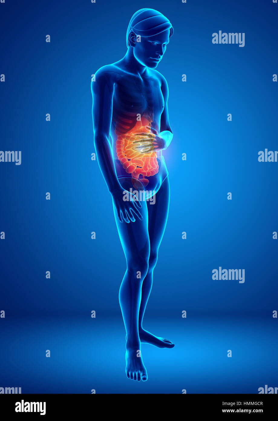 human body anatomy with joint pain Stock Photo - Alamy
