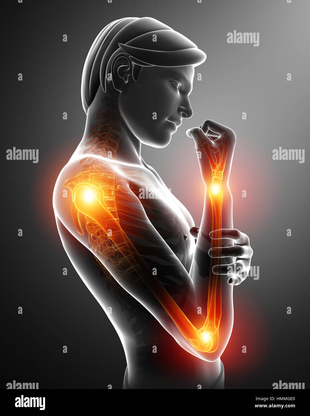 human body anatomy with joint pain Stock Photo - Alamy
