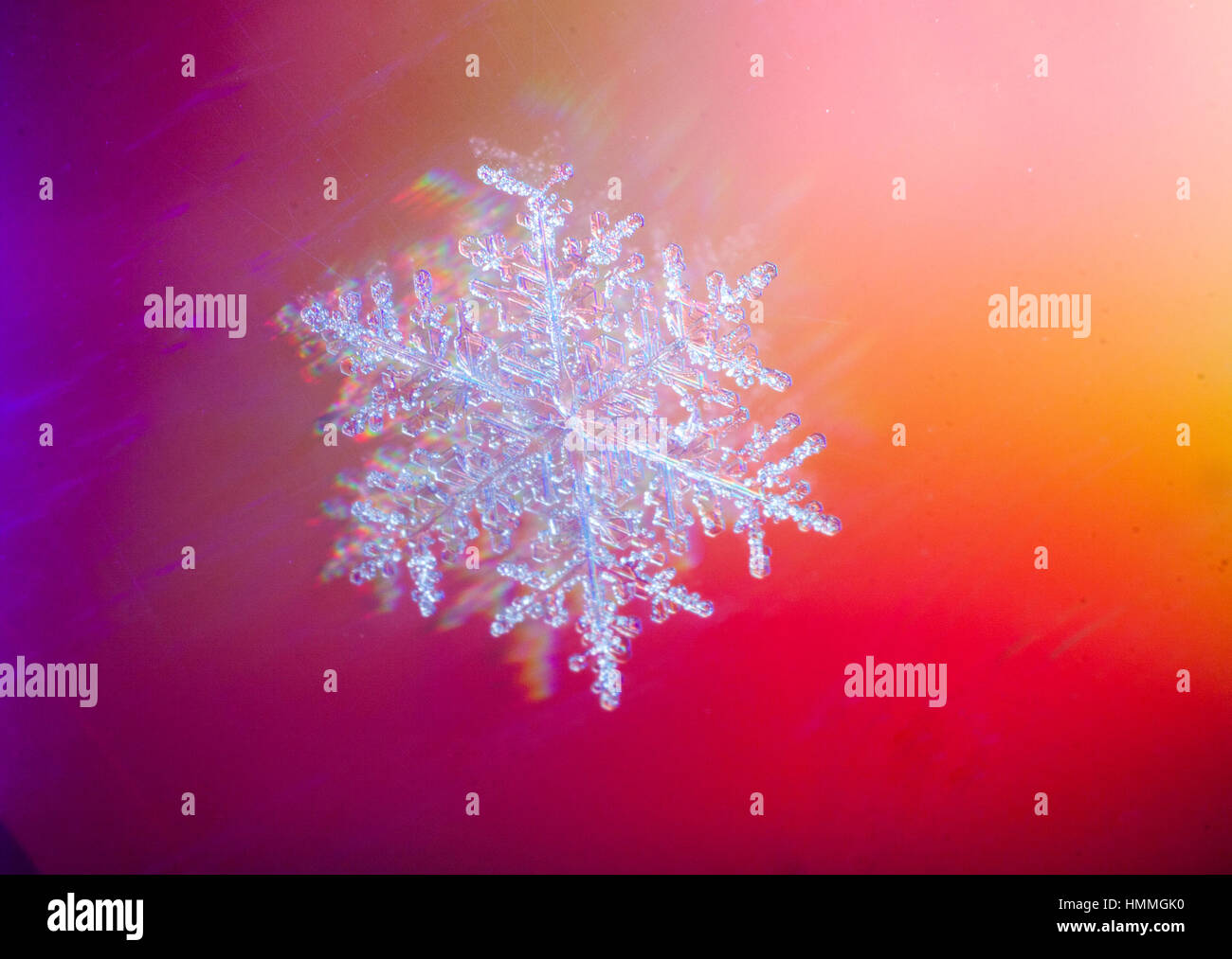Real snowflakes border hi-res stock photography and images - Alamy