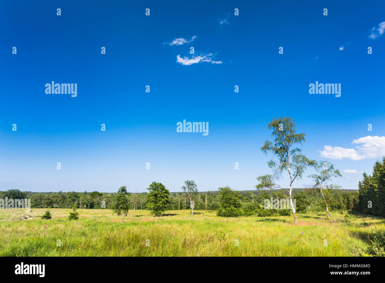 Belgium landscape hi-res stock photography and images - Alamy