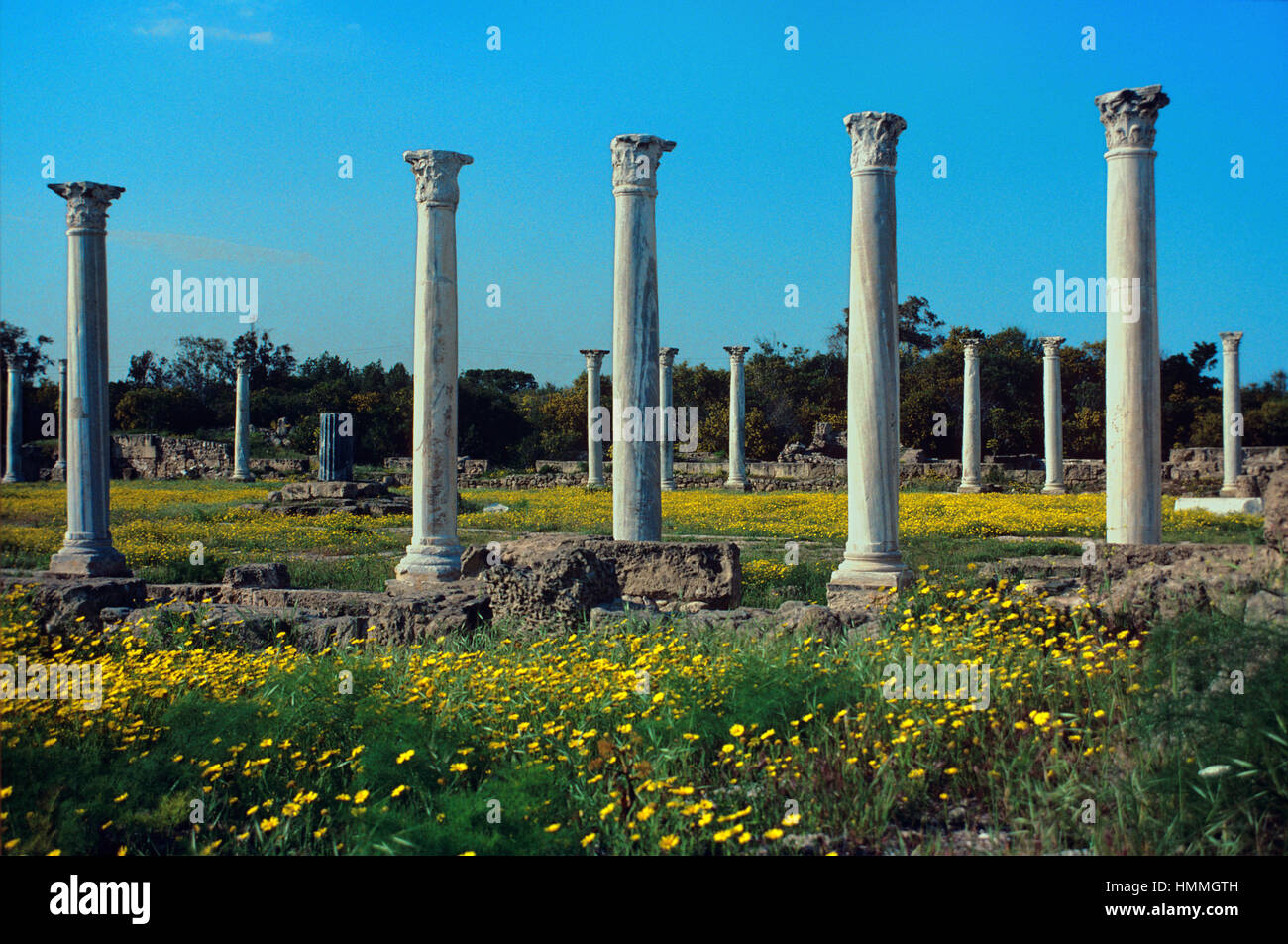 Greek gymnasium hi-res stock photography and images - Alamy