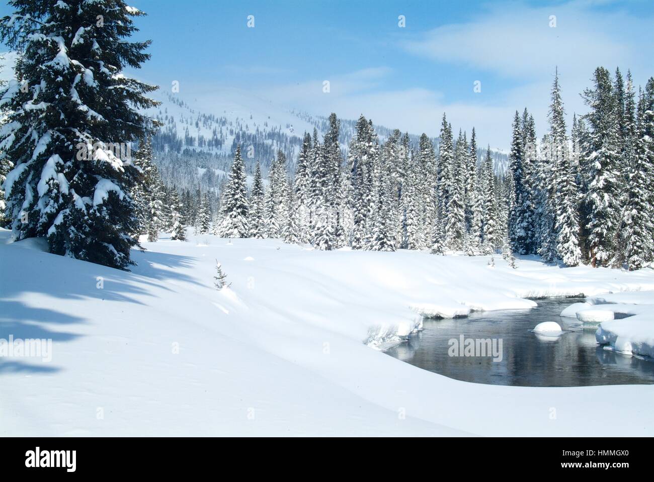 Beautiful winter landscape with snow covered trees Stock Photo - Alamy