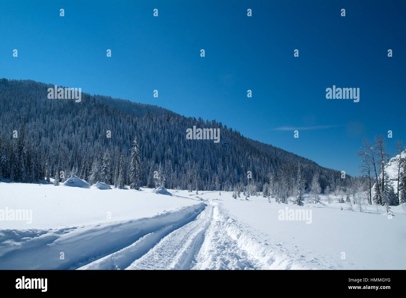 Snowmobile Track Texture Stock Photo - Alamy