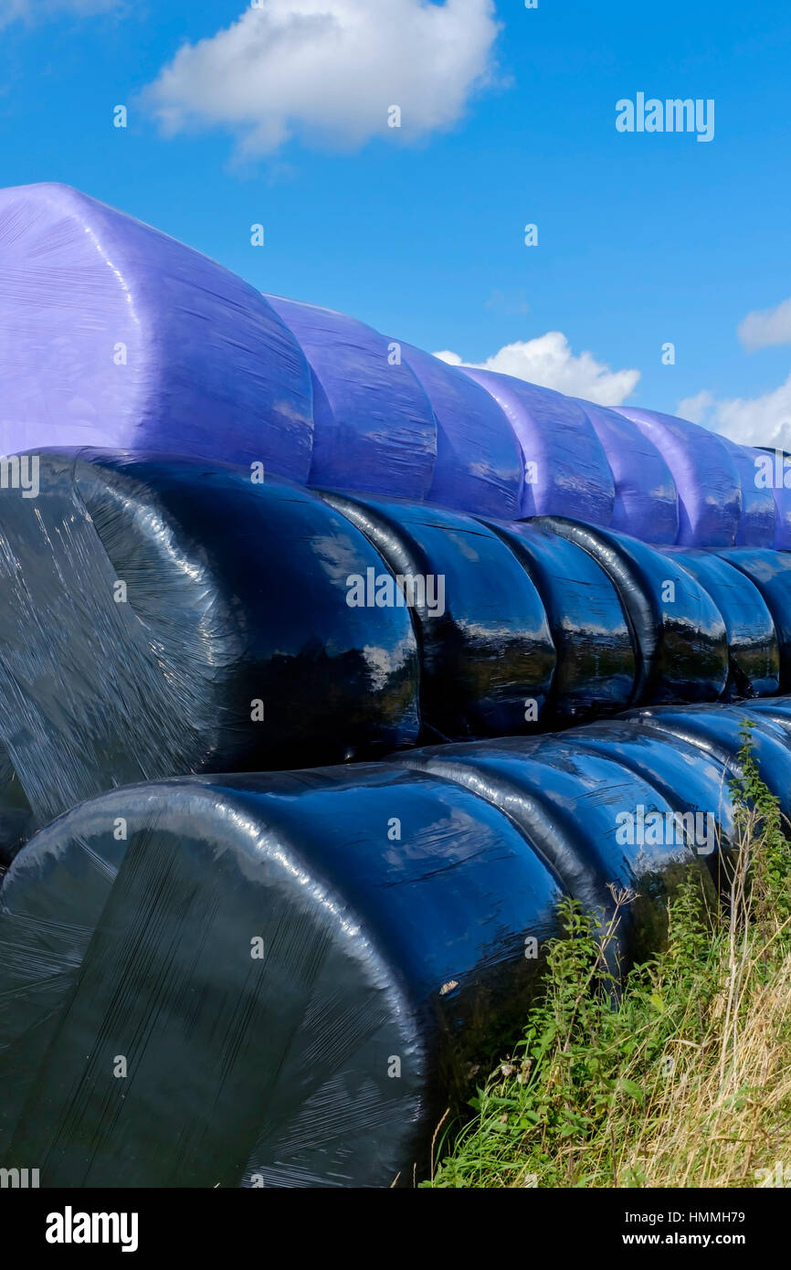 Wrapped bale hi-res stock photography and images - Alamy