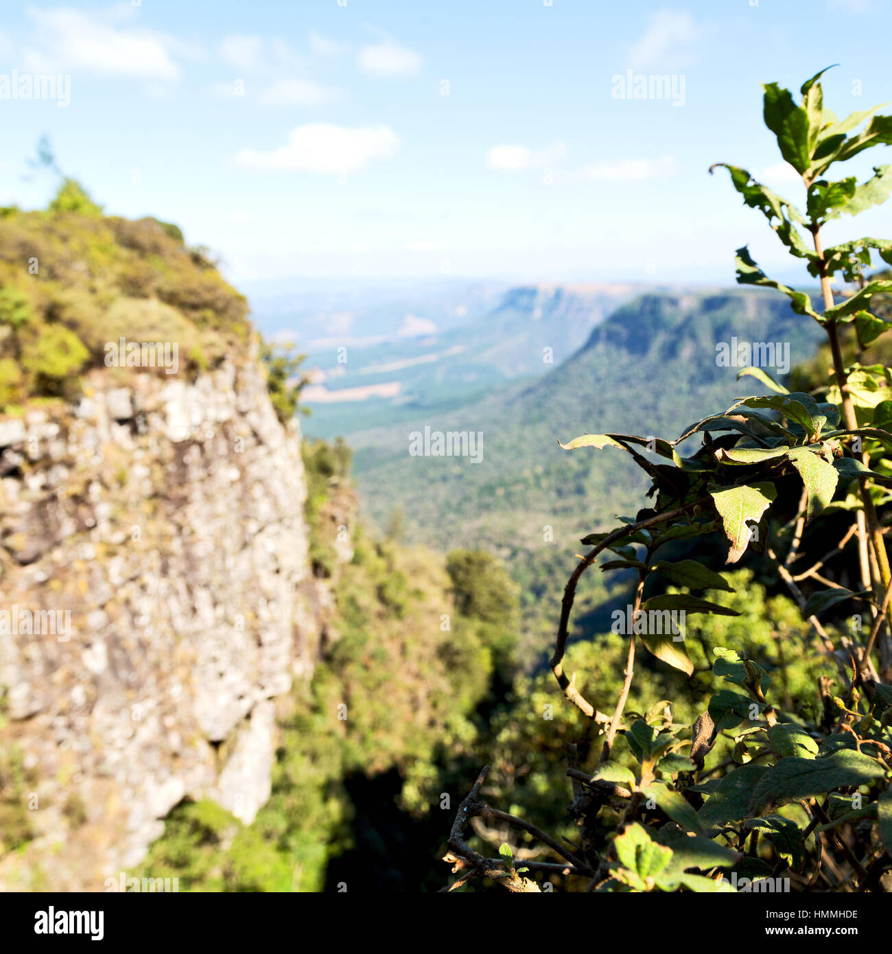 blur in south africa blyde river canyon plant rock and pond water Stock ...