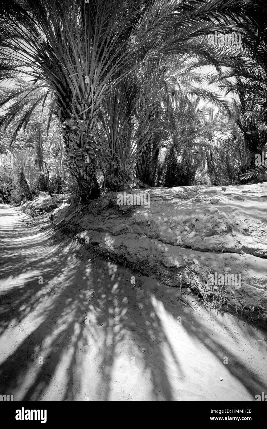 Fint Black and White Stock Photos & Images - Alamy