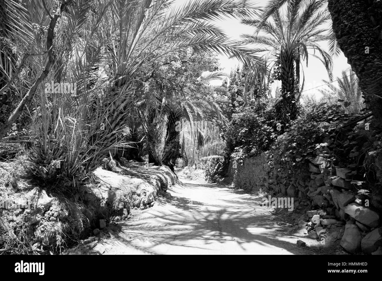 Fint Black and White Stock Photos & Images - Alamy