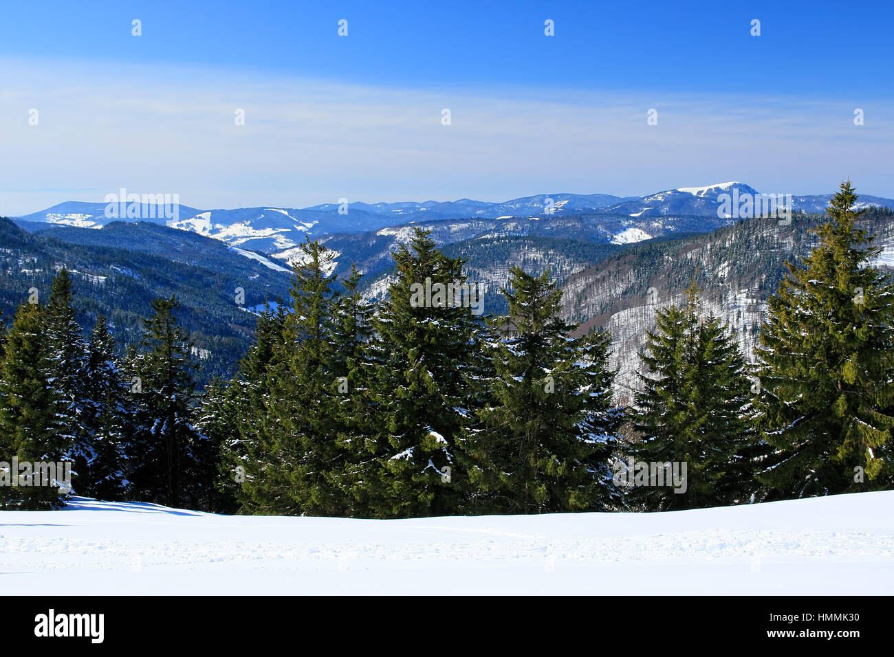 Winter on the Feldberg which is the highest mountain in the Black ...