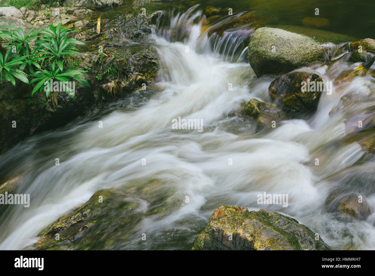 nature water flow at waterfall in deep forest Stock Photo - Alamy