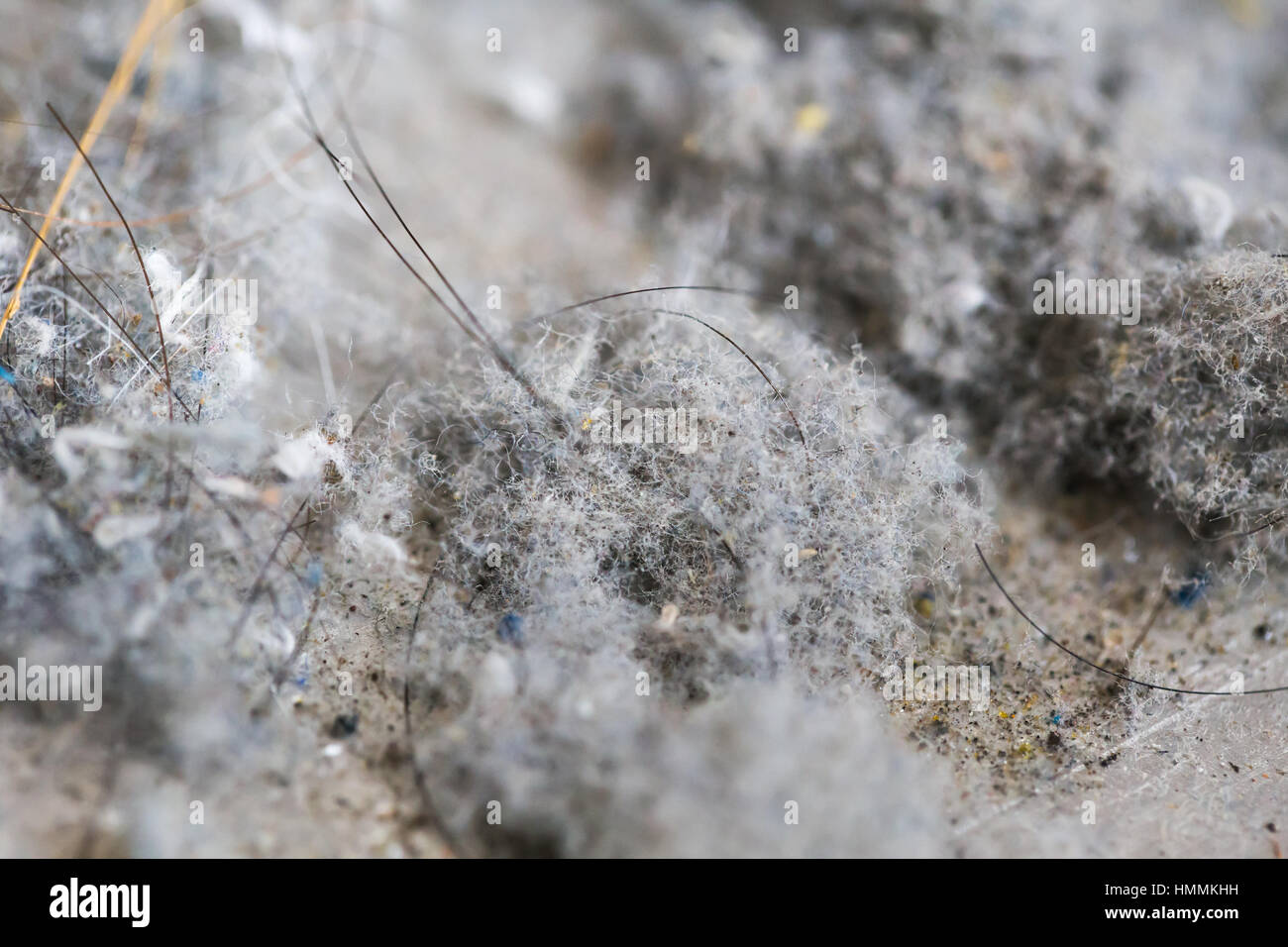 danger of dust in home from vacuum and the cause of Respiratory ...