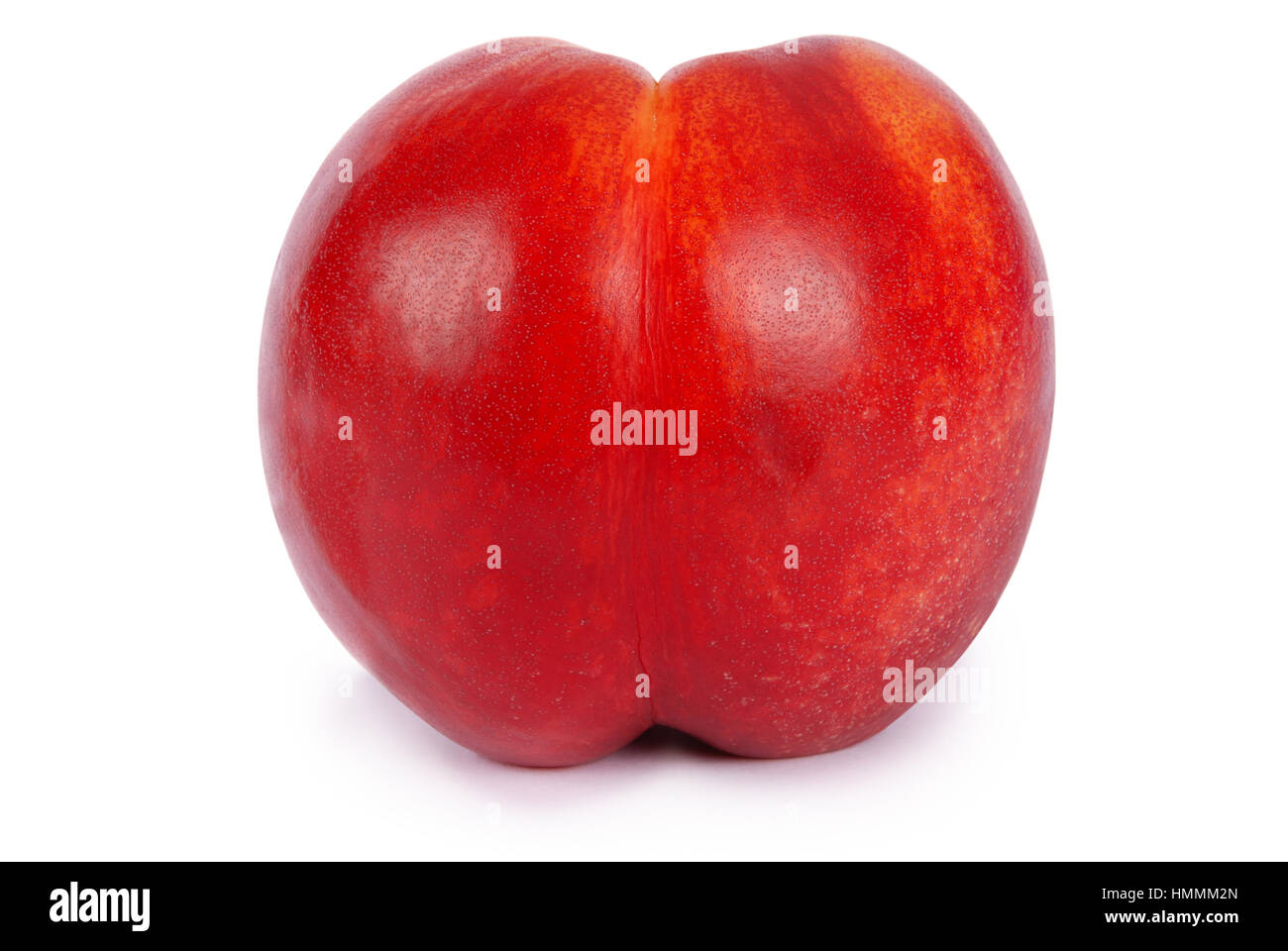 Single nectarine on white background. Clipping path included Stock ...