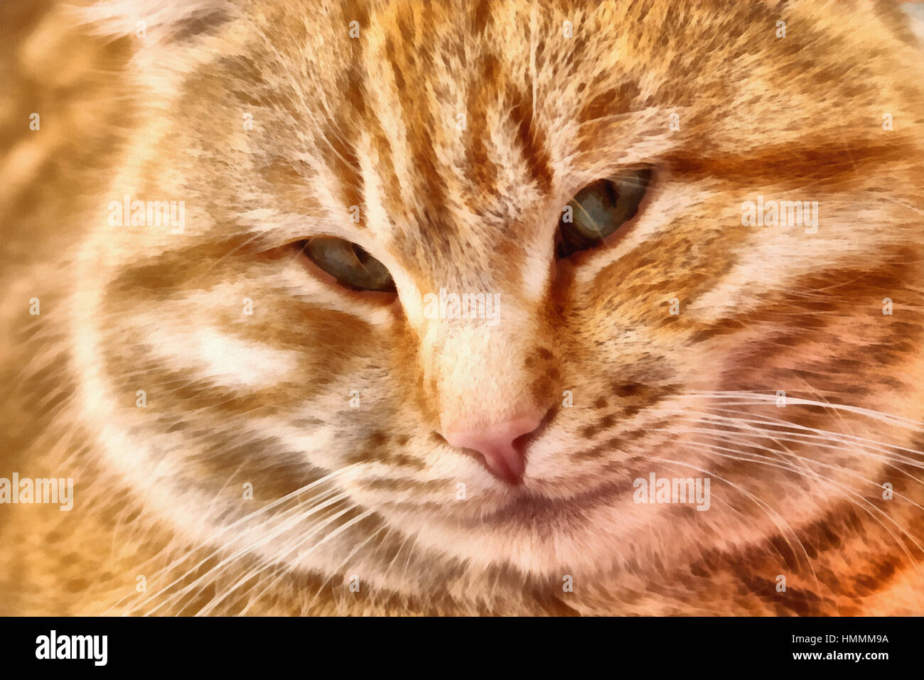 Cat realism hi-res stock photography and images - Alamy
