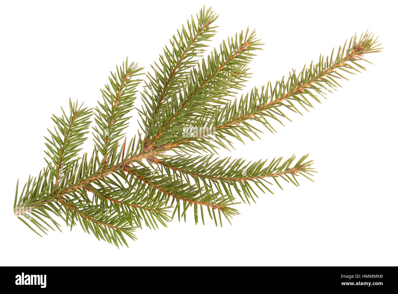 Family celebration mood Cut Out Stock Images & Pictures - Alamy