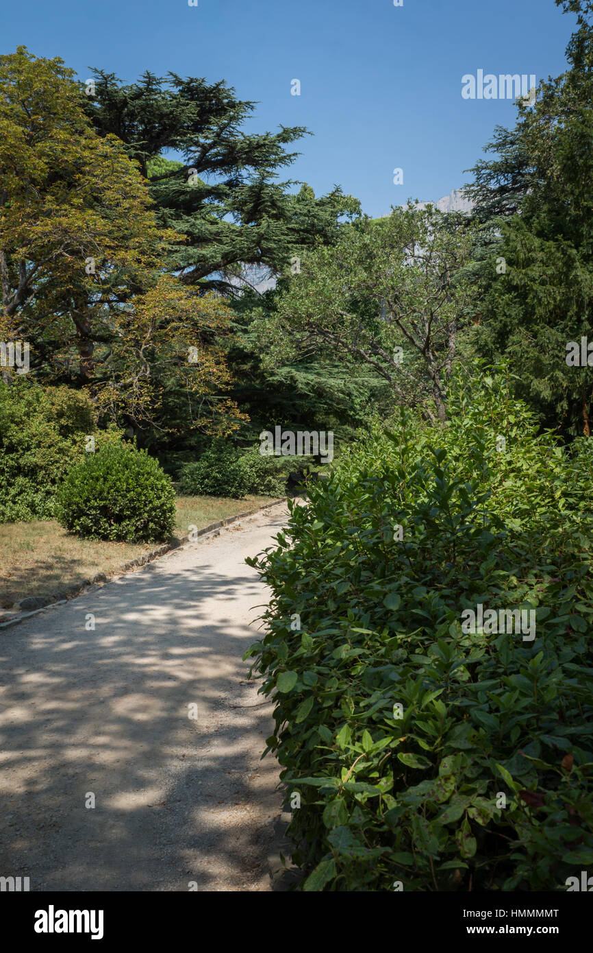 Park in Livadiya palace in Crimea, Russia Stock Photo - Alamy
