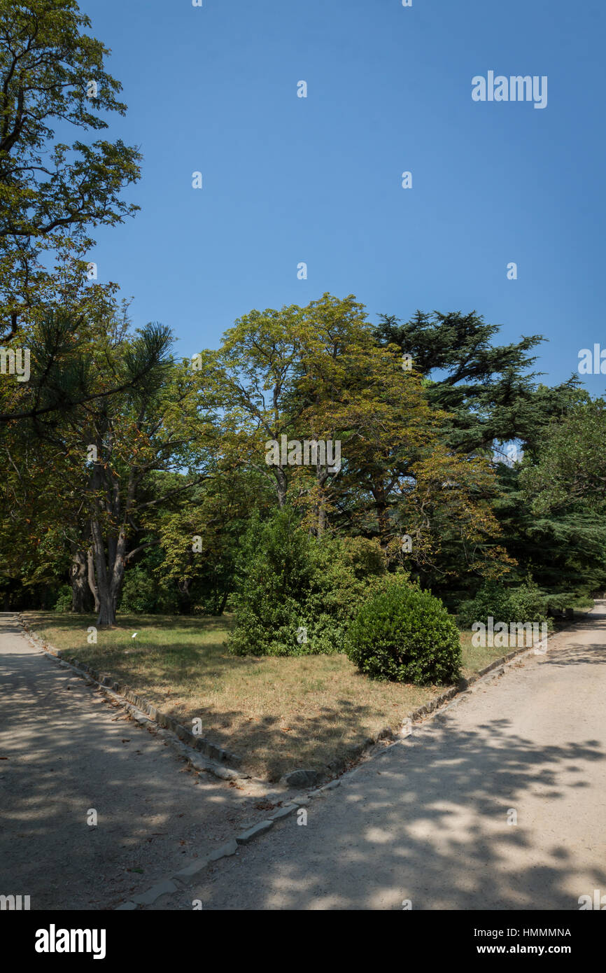 Park in Livadiya palace in Crimea, Russia Stock Photo - Alamy
