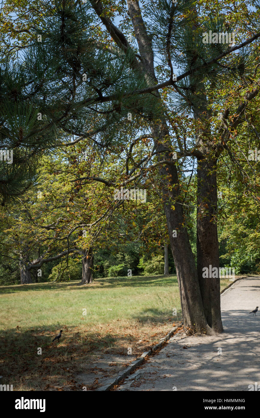 Park in Livadiya palace in Crimea, Russia Stock Photo - Alamy
