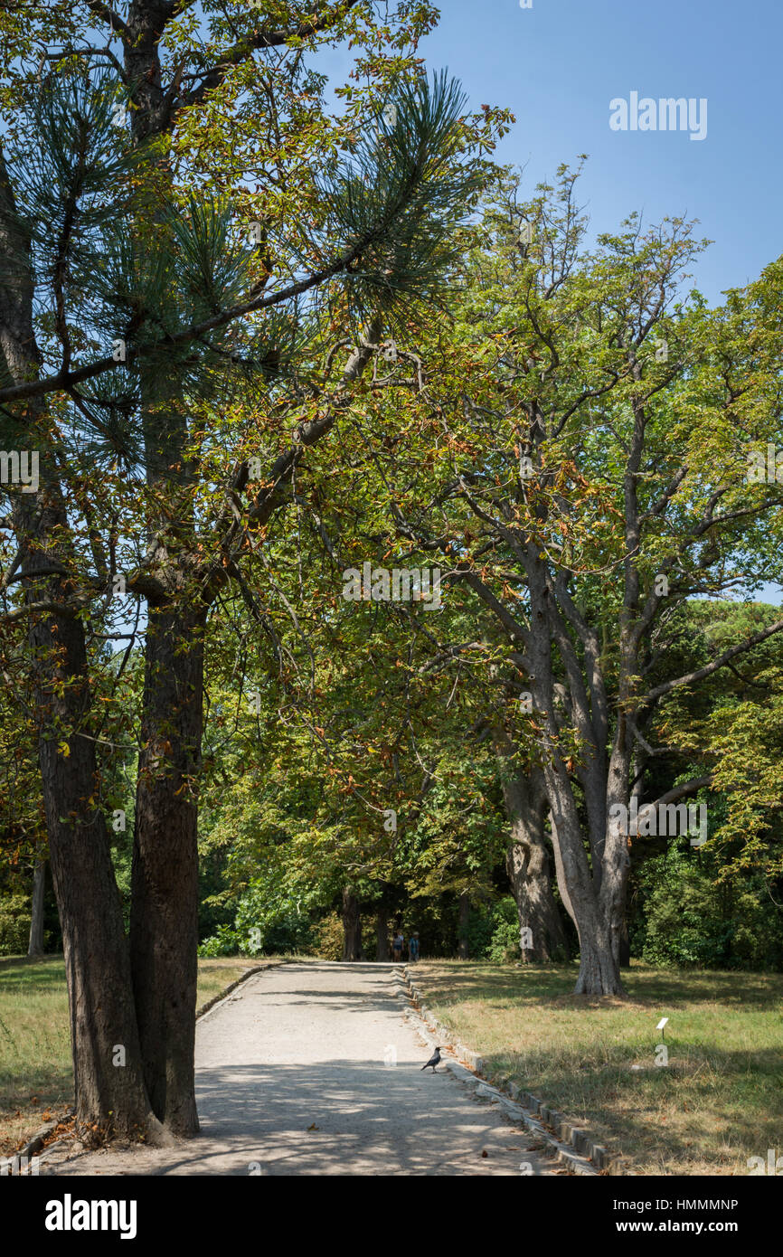 Park in Livadiya palace in Crimea, Russia Stock Photo - Alamy