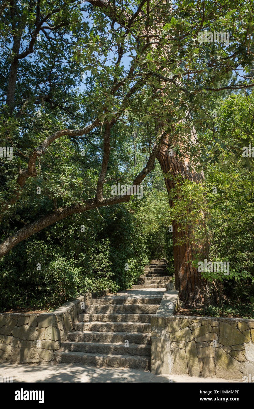 Park in Livadiya palace in Crimea, Russia Stock Photo - Alamy