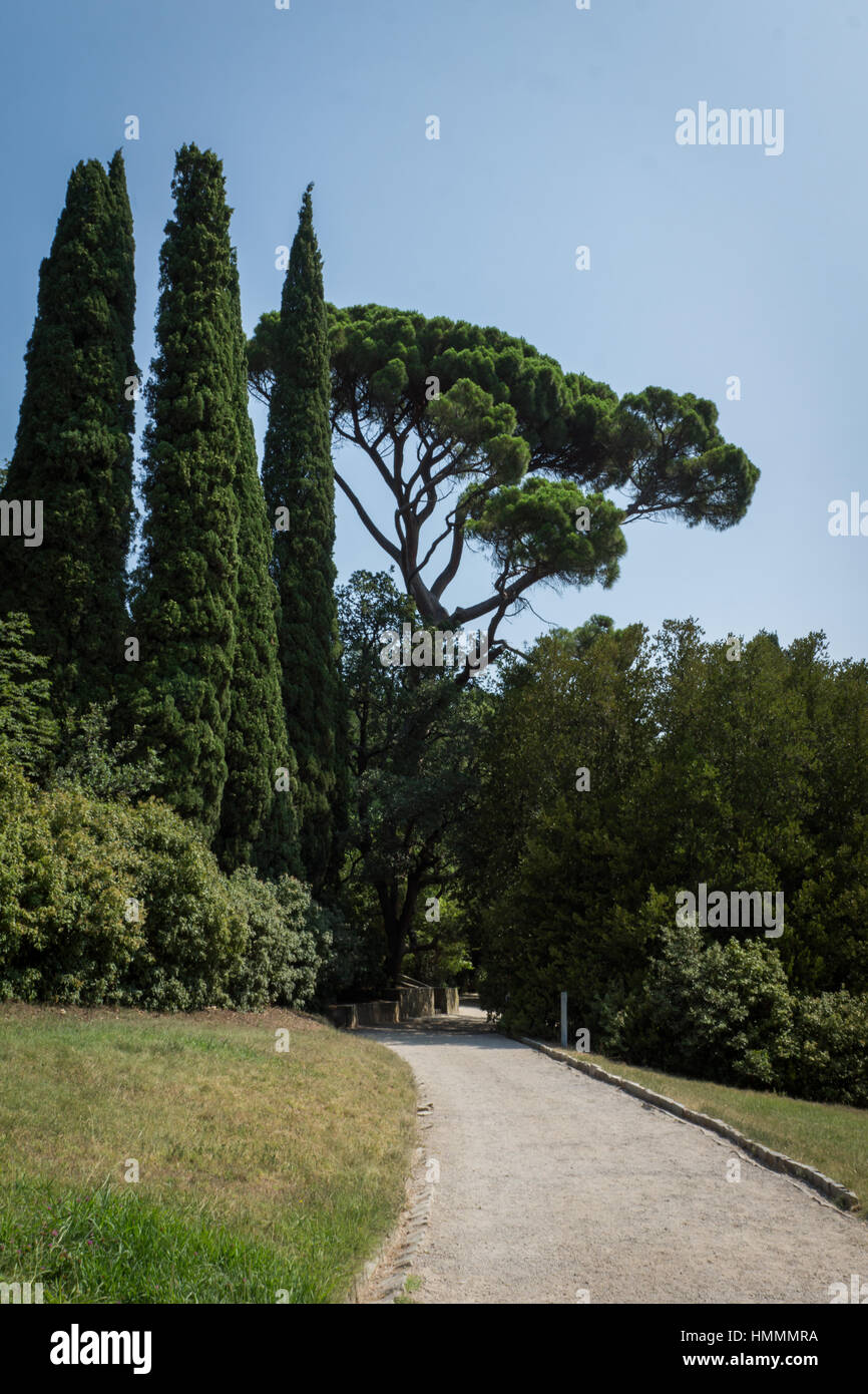 Park in Livadiya palace in Crimea, Russia Stock Photo - Alamy