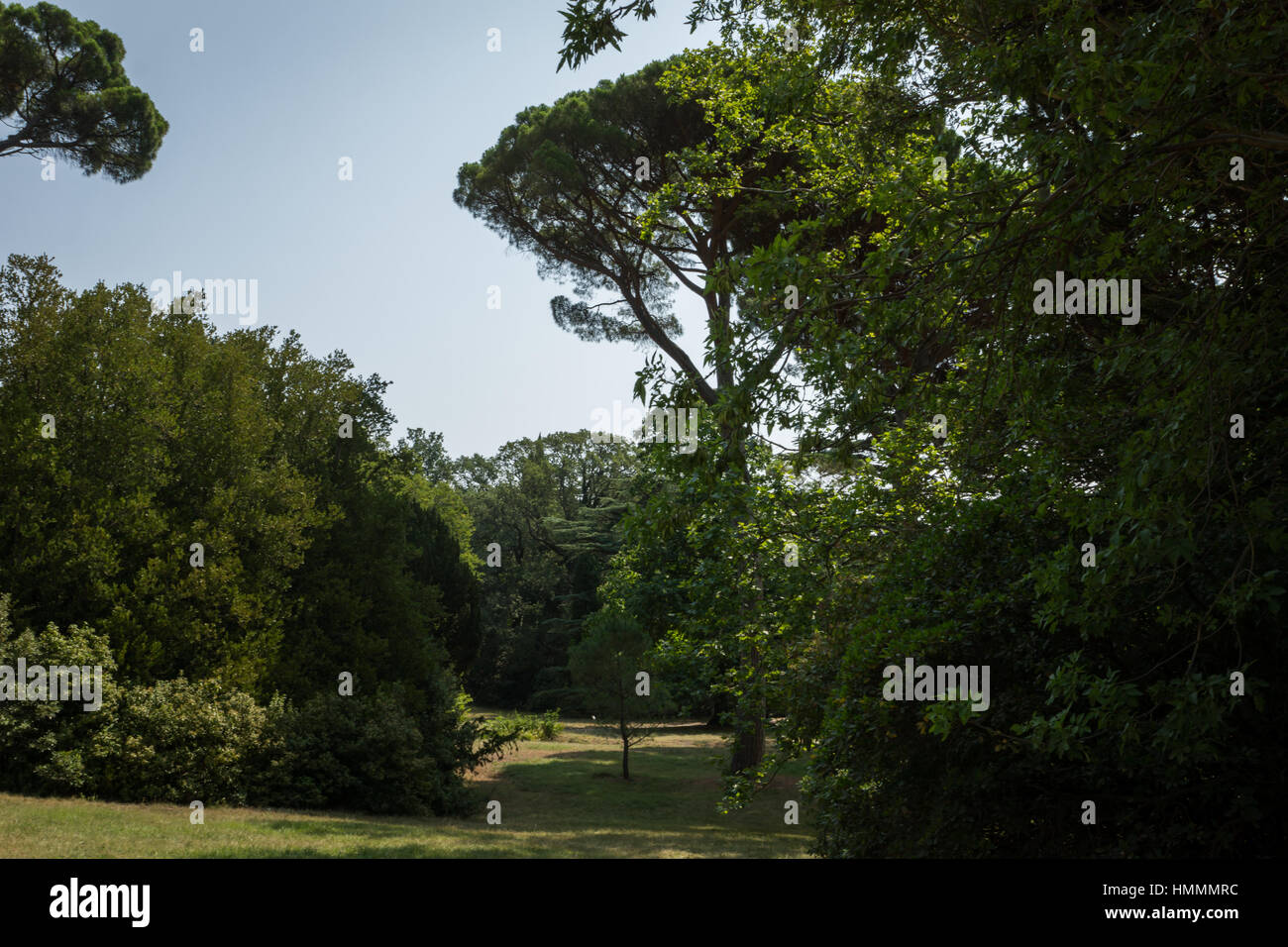 Park in Livadiya palace in Crimea, Russia Stock Photo - Alamy