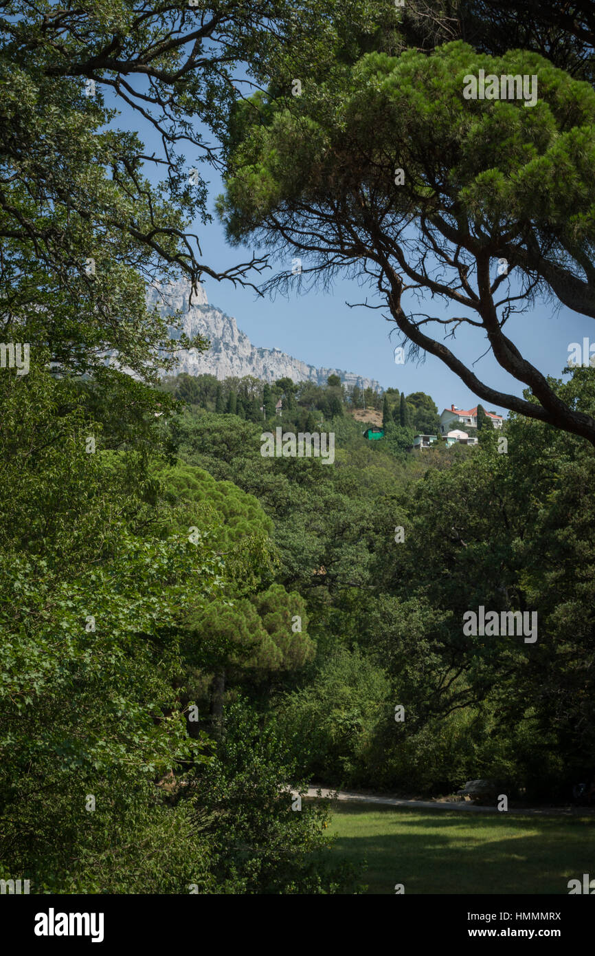 Park in Livadiya palace in Crimea, Russia Stock Photo - Alamy