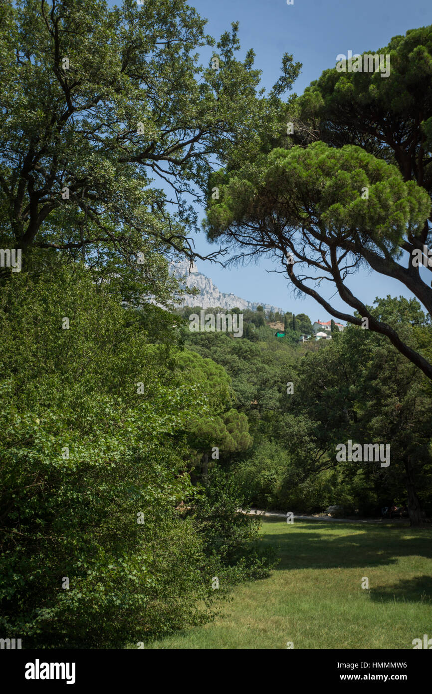 Park in Livadiya palace in Crimea, Russia Stock Photo - Alamy