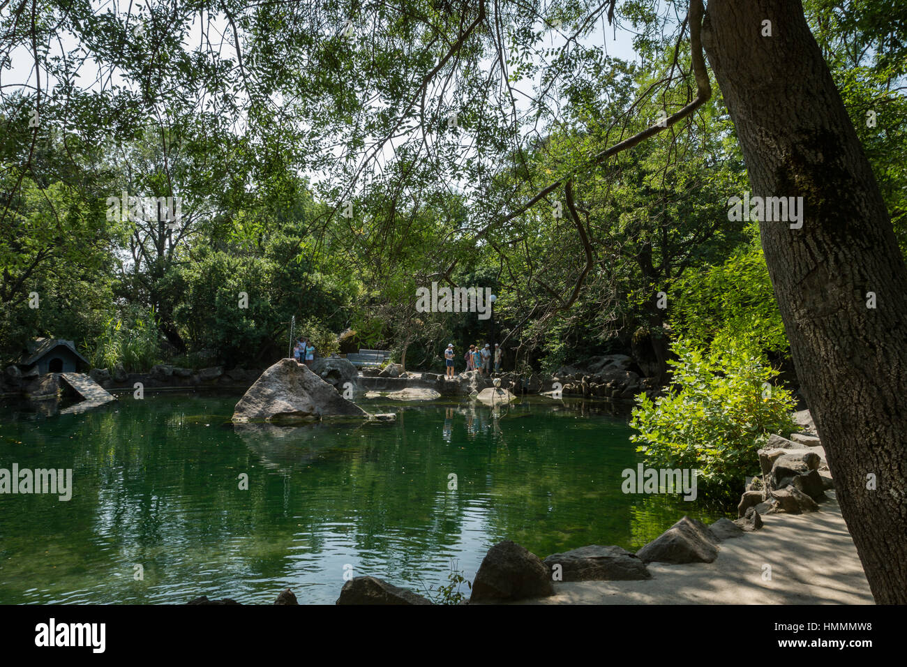 Park in Livadiya palace in Crimea, Russia Stock Photo - Alamy