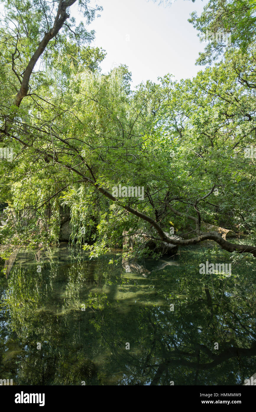 Park in Livadiya palace in Crimea, Russia Stock Photo - Alamy