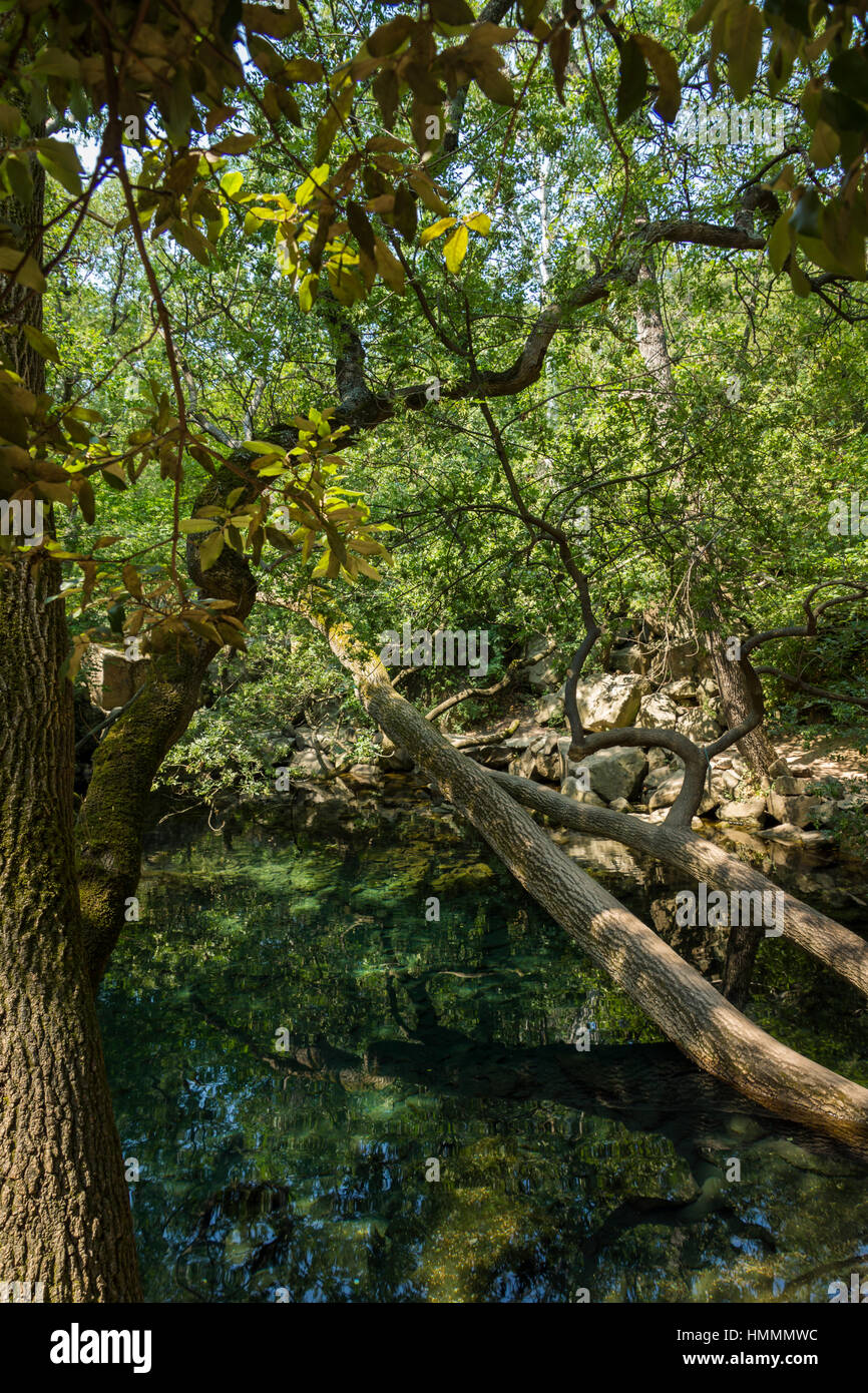 Park in Livadiya palace in Crimea, Russia Stock Photo - Alamy